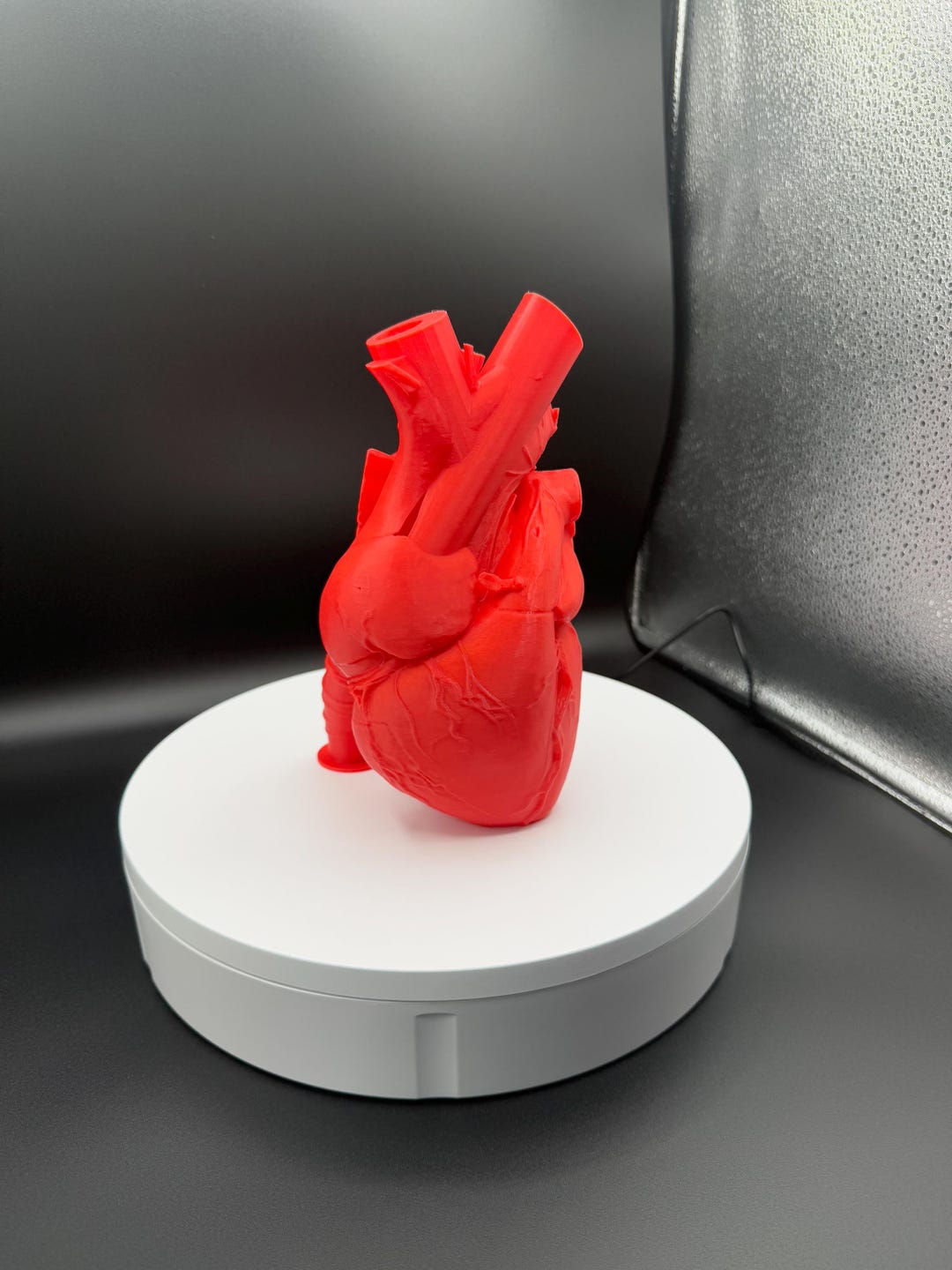 3D Printed Anatomical Heart Vase Unique Flower Holder, Medical Decor ...