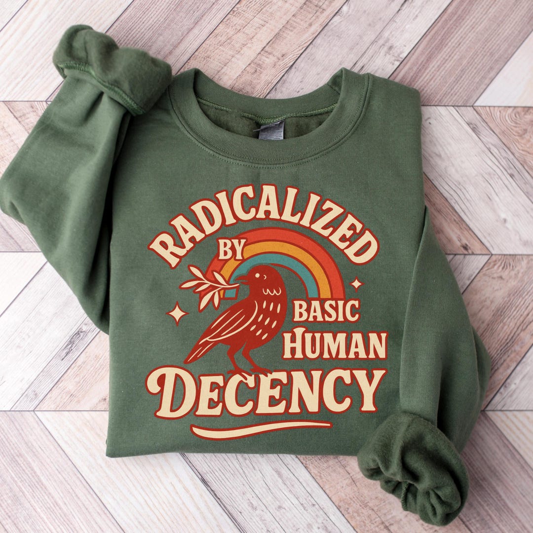Radicalized by Basic Decency Sweater, Feminist Activist Tee, Liberal ...