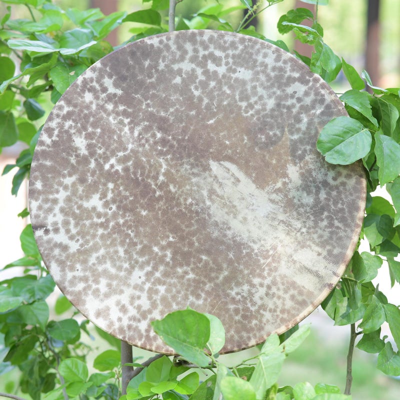 Reindeer Skins - Etsy