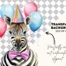 Watercolor Zebra Clipart Set: Party Animals, Safari Birthday (digital ...