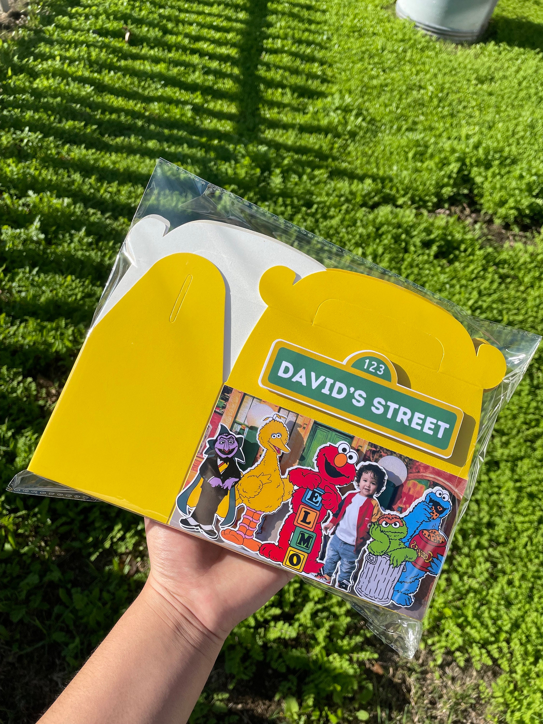 3D Sesame Street Gable Boxes / Elmo Party Boxes / Sesame Street - Etsy