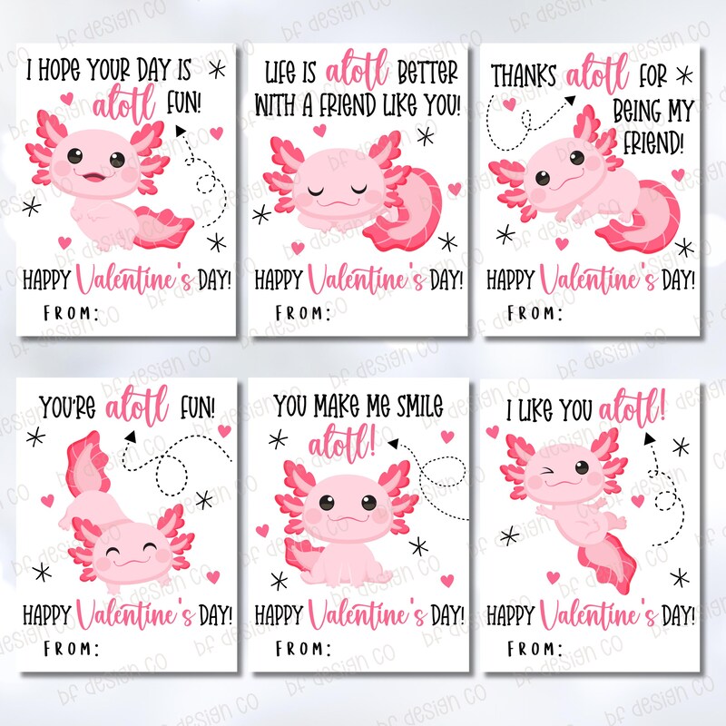 Axolotl Valentines Day Box - Etsy