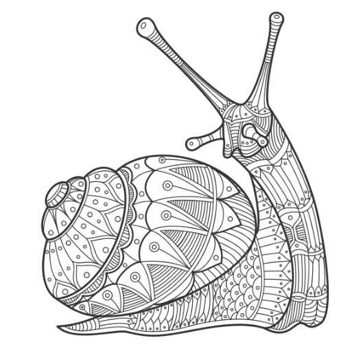 Coloring Book Mandals, Animals & Nature - Etsy