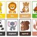 Preschool Educational Flashcards Set Learn Food, Vegetables, Body Parts ...