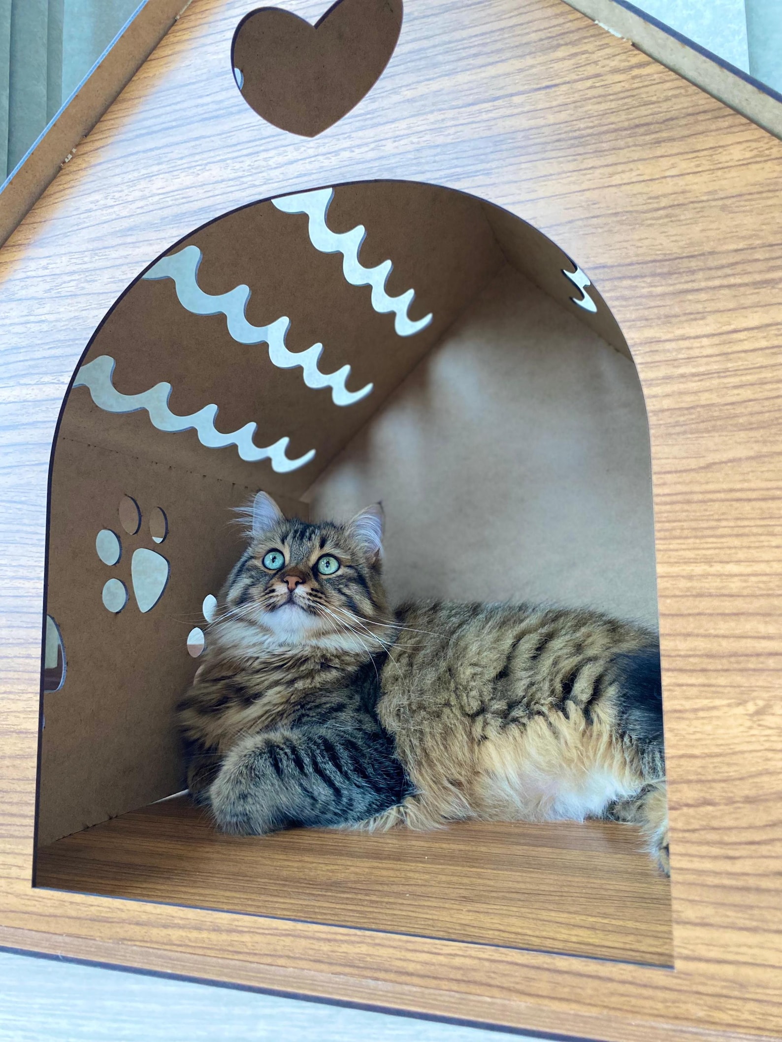 Wooden Cat House - Outdoor Cat Shelter, Winter Pet House, Insulated ...