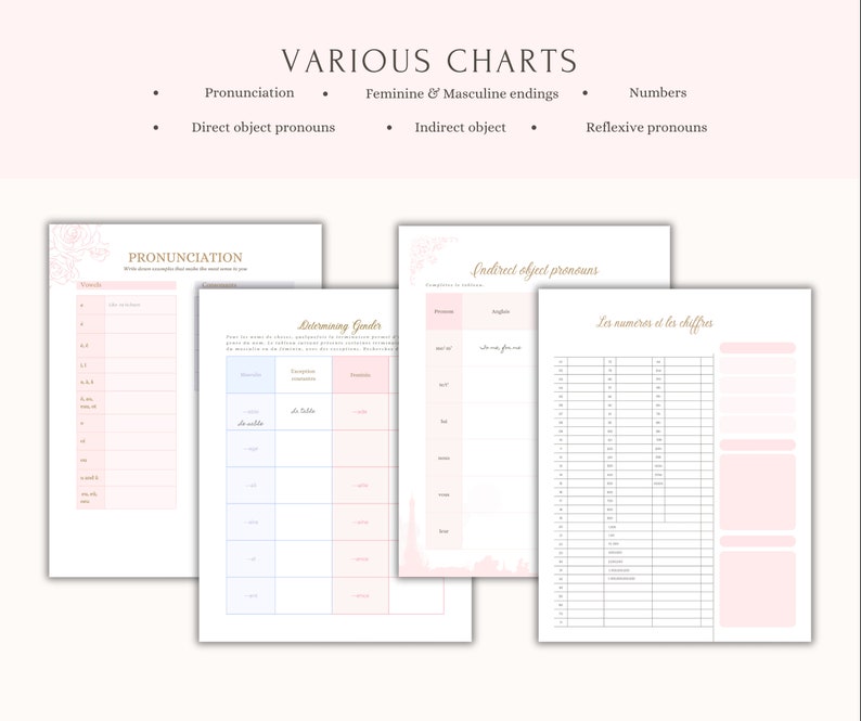 Paris Summer Dream | Beginner French Study Notebook | Paris Theme ...