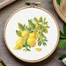 Lemon Cross Stitch Pattern, 6 Lemon Bundle Set, Instant Download - Etsy