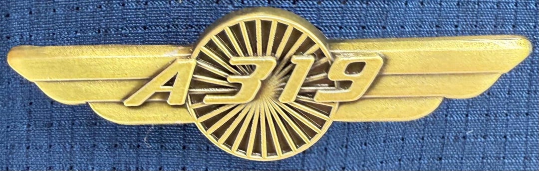 Airbus A319 Pilot Crew Gold Uniform Pin NEW!! Delta United American - Etsy