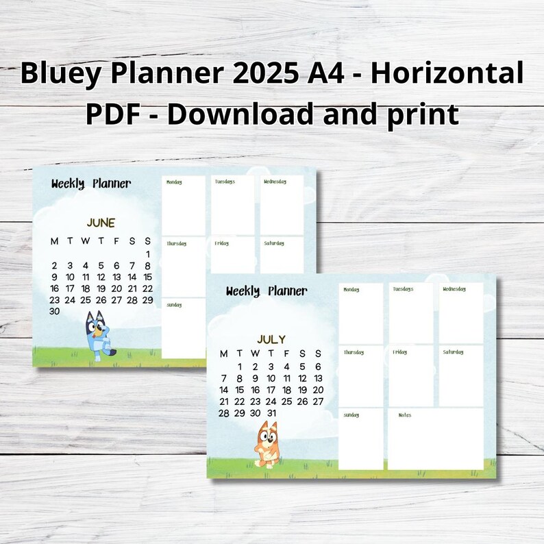 Bluey Weekly Planner 2025 Monthly Planner, Goals, and One-page Calendar ...
