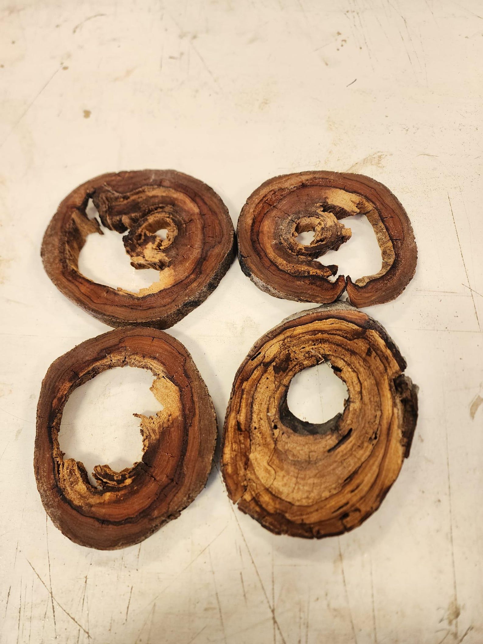 Hickory Wood Slices – Strong, Bold & Naturally Rustic - Etsy