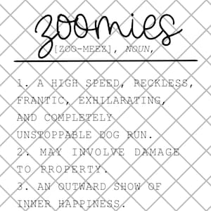 Zoomies Noun Funny Dog PNG PDF - Etsy