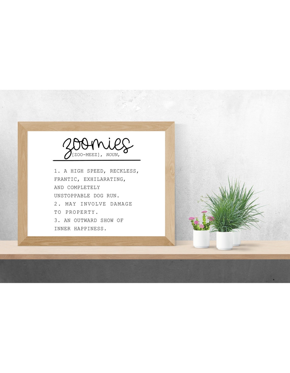 Zoomies Noun Funny Dog PNG PDF - Etsy