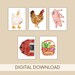 On the Farm Lacing Cards, Homeschool Printables, Preschool Curriculum ...