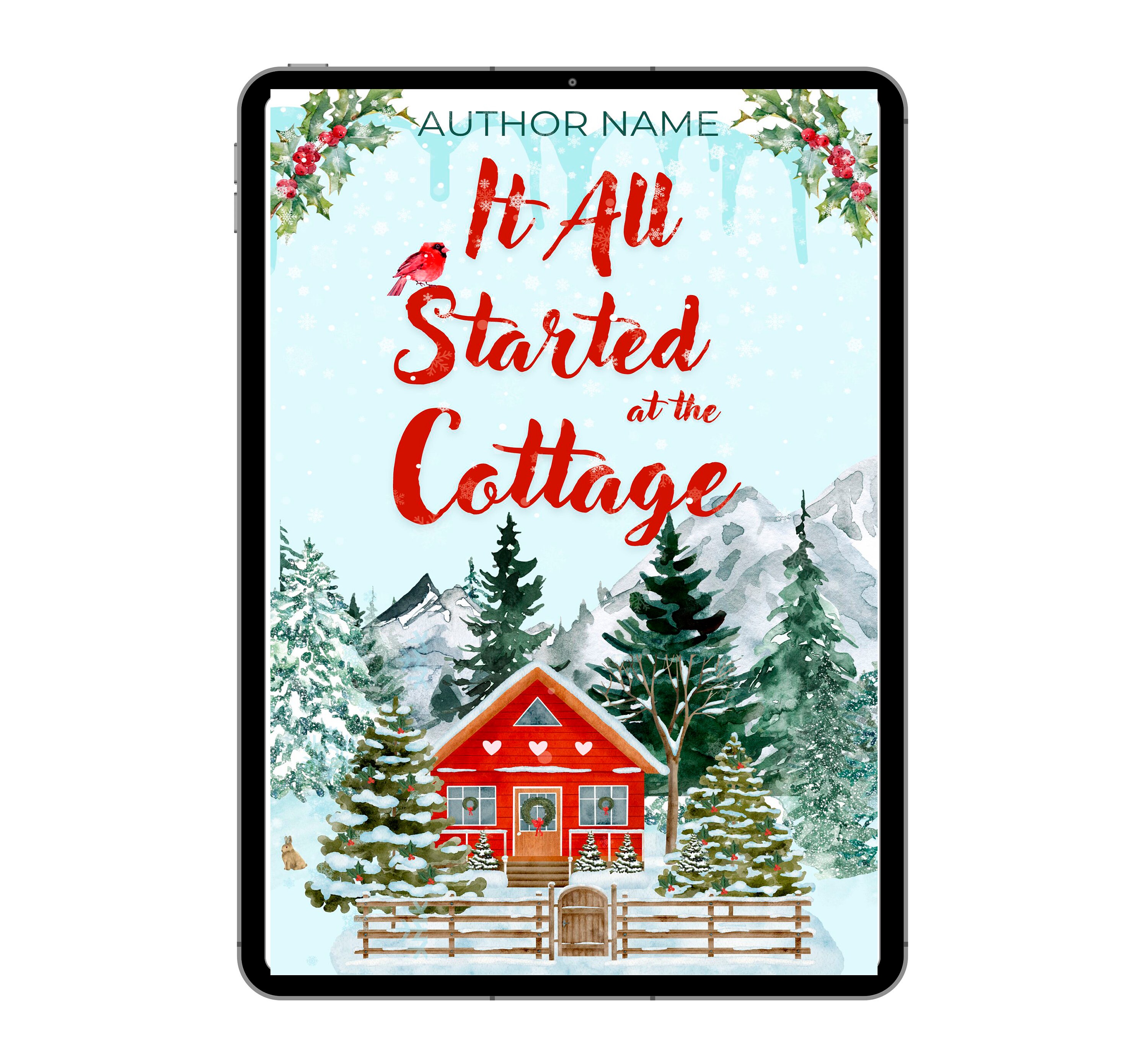 Chick Lit, Romance, Rom Com, Fiction, Young Adult, Inspirational ...