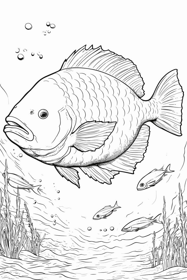 Set of 30 Sea Animal Coloring Pages, Underwater Creatures Coloring Book ...