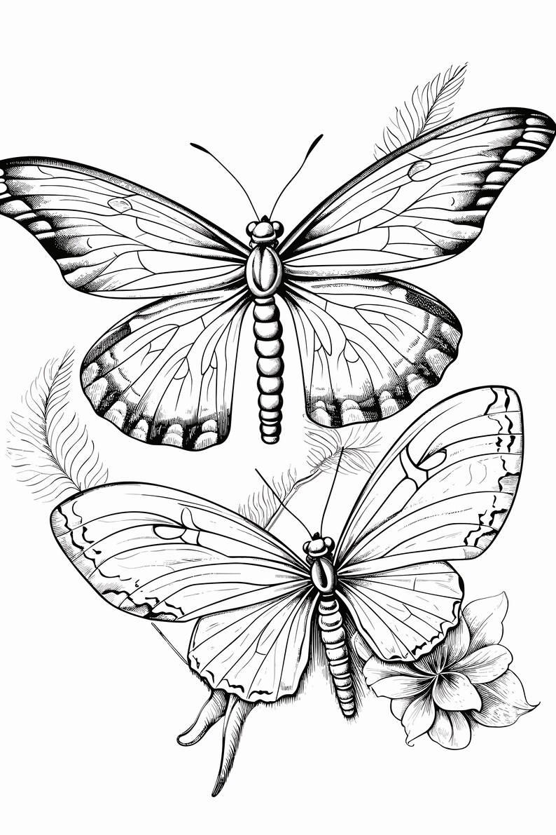 30 Floral Butterfly Coloring Book, Adult Coloring Pages, Relaxation ...