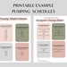 Breastfeeding and Pumping Log WITH Example Schedules & BONUS - Etsy