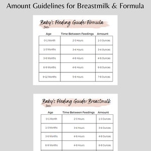 Breastfeeding and Pumping Log WITH Example Schedules & BONUS - Etsy