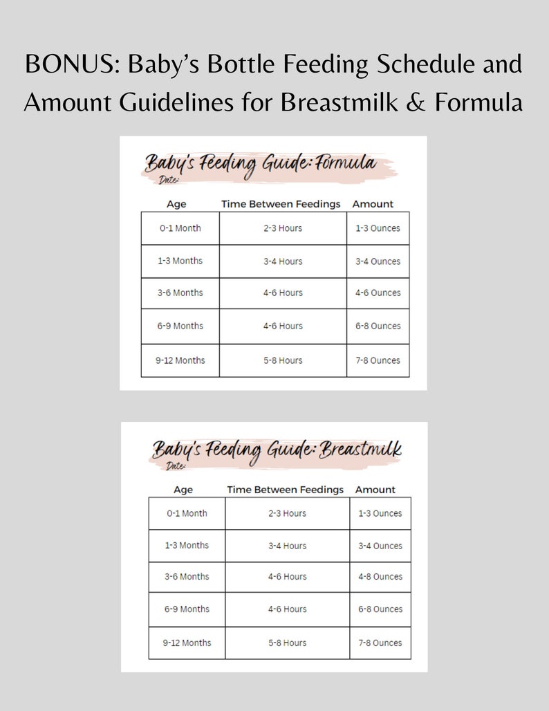 Breastfeeding and Pumping Log WITH Example Schedules & BONUS - Etsy