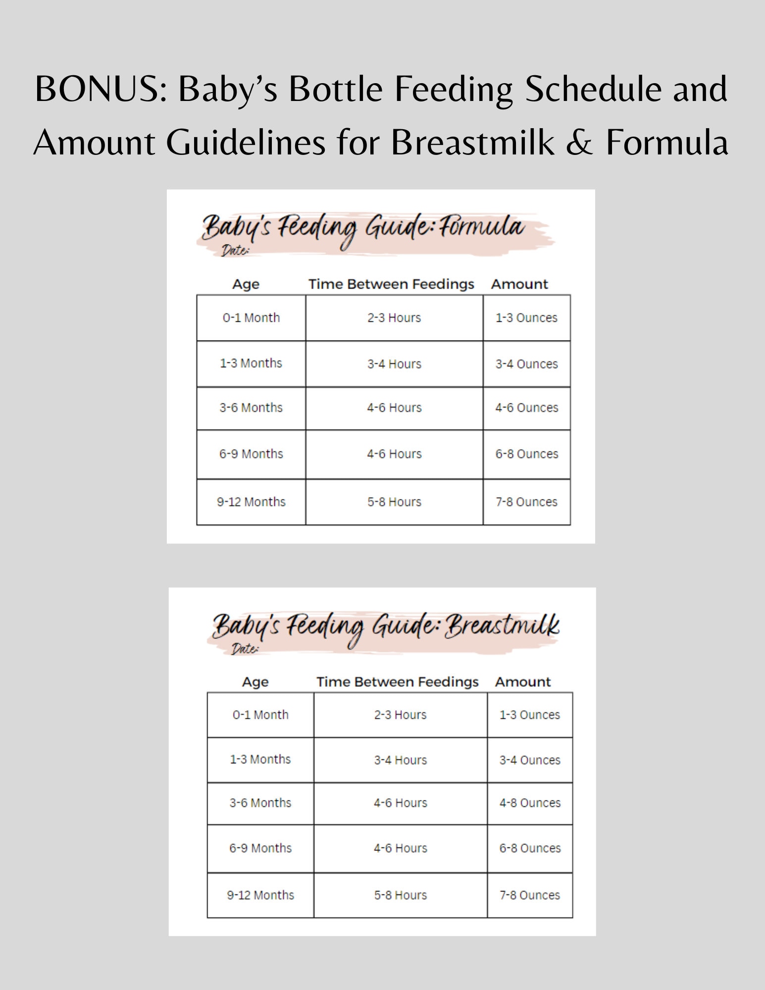 Breastfeeding and Pumping Log WITH Example Schedules & BONUS - Etsy