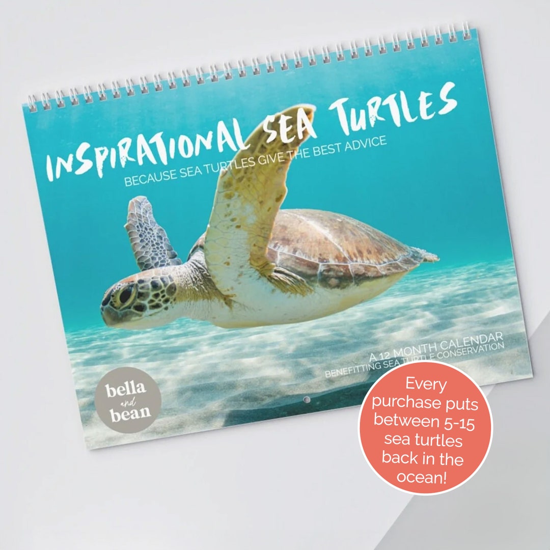 Funny Inspirational Sea Turtle Motivational Calendar Benefitting Sea ...