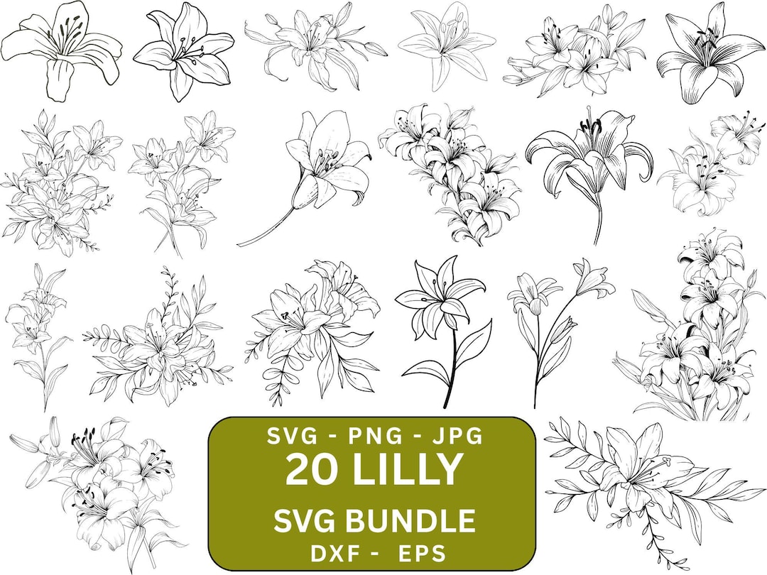Lily Flowers Svg Bundle,botanical Cut File,lily Cricut,lilies Bouquet ...