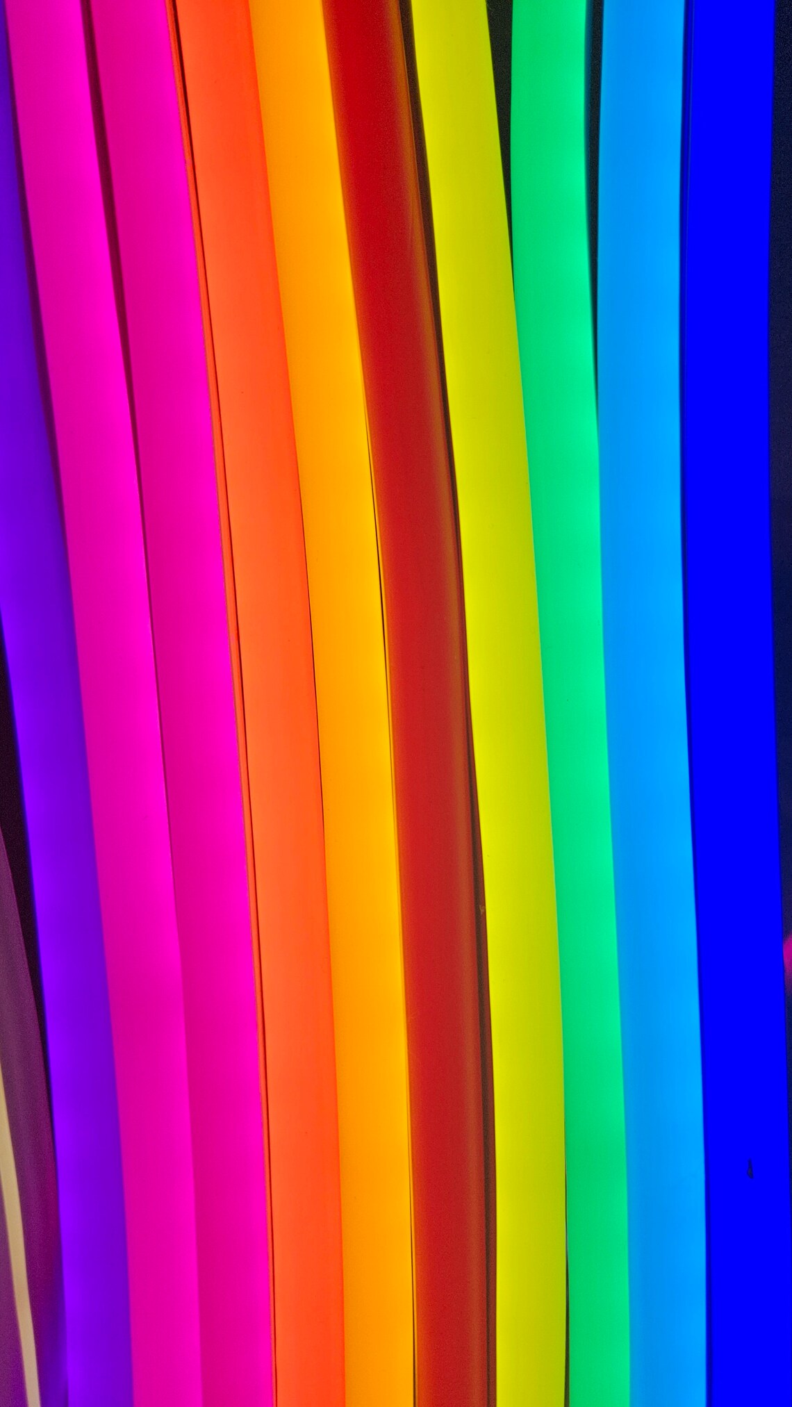 Various Led Neon Strip Without Remote for Homes and Stores, Led ...