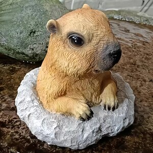 Handmade Resin Groundhog Garden Figurine, Xmas Decor - Etsy