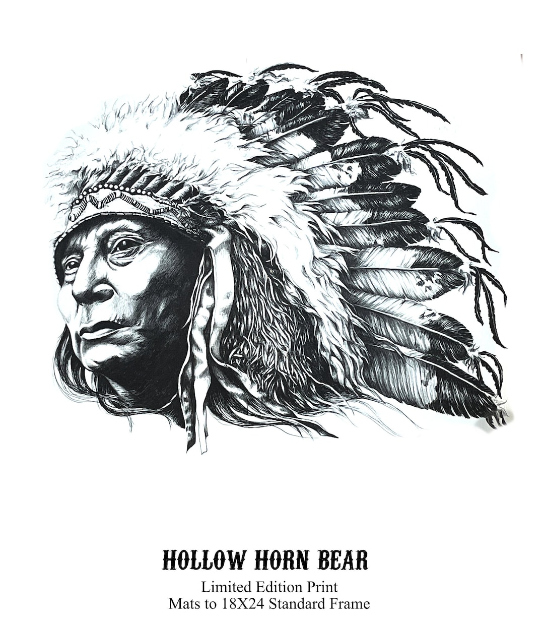 HOLLOW HORN BEAR, Chief, Brule Dakota Sioux, Model for United States 14 ...