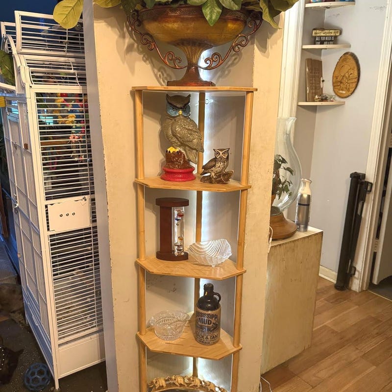 Japanese Corner Plant - Etsy