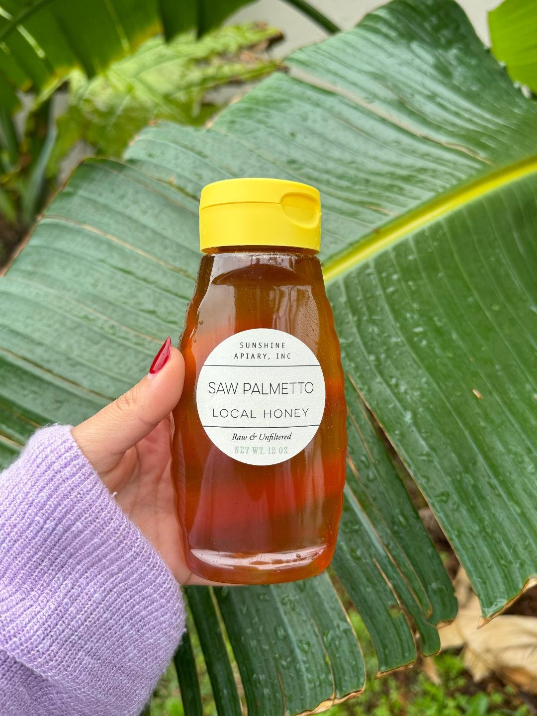 Saw Palmetto Honey: Raw Unfiltered Florida Honey (12 Oz) - Etsy