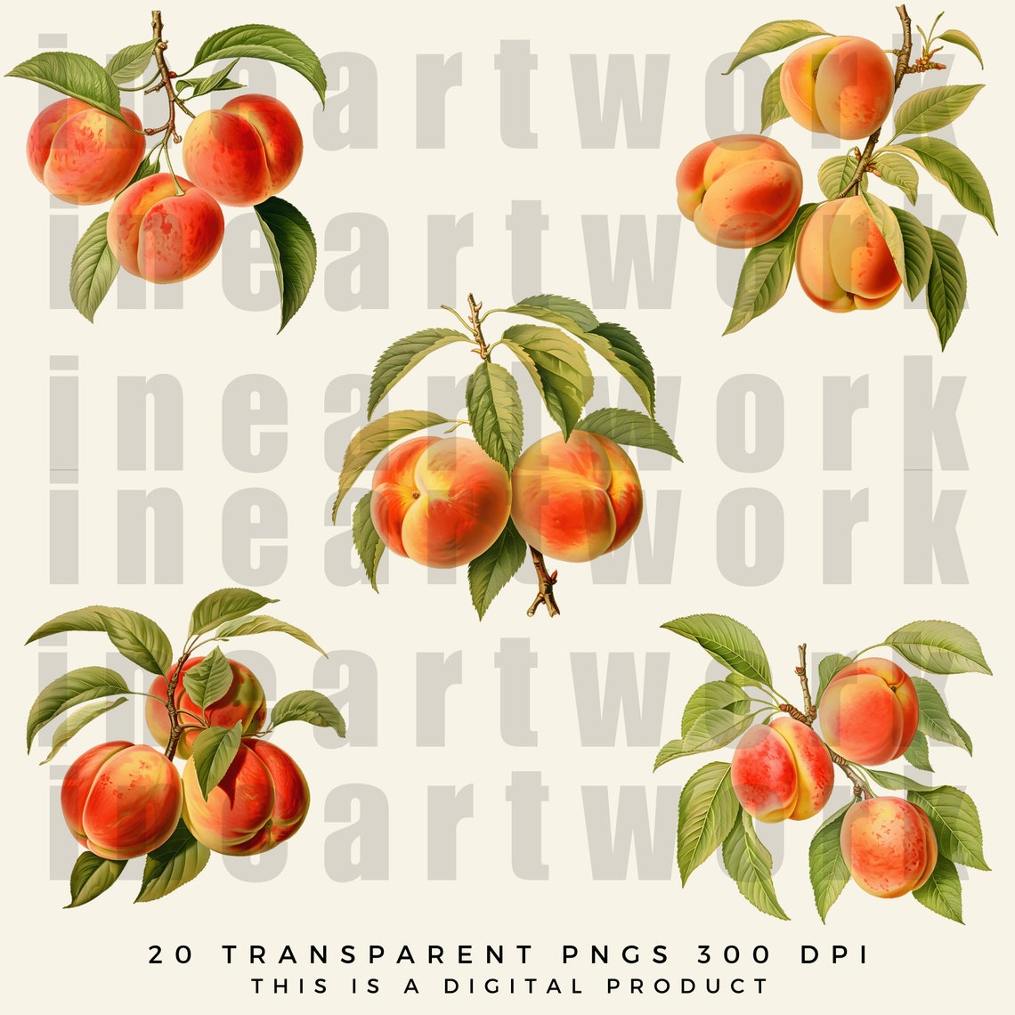 Peach Clipart Peach PNG Fruit Clipart Peach Fruit Clipart Food Clipart ...