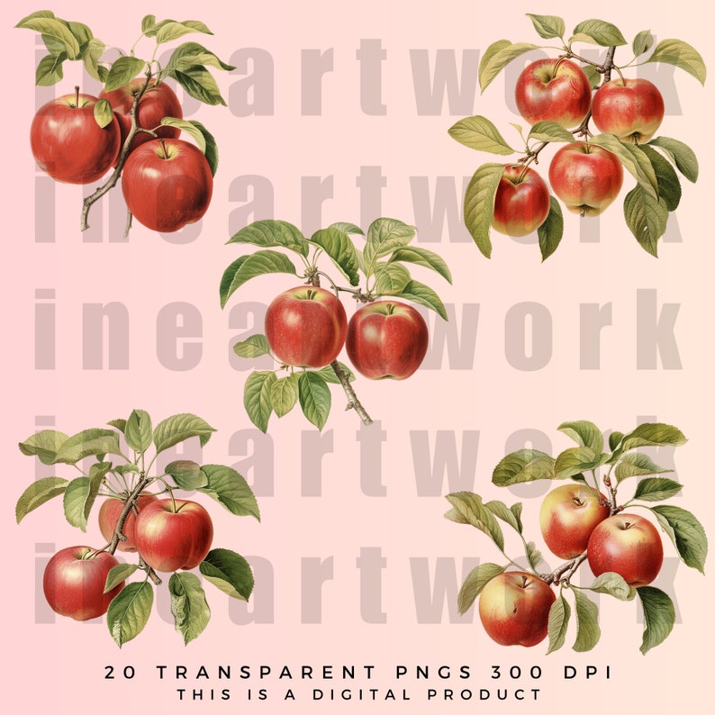 Apple Clipart Apple PNG Fruit Clipart Red Apples Clipart Food Clipart ...