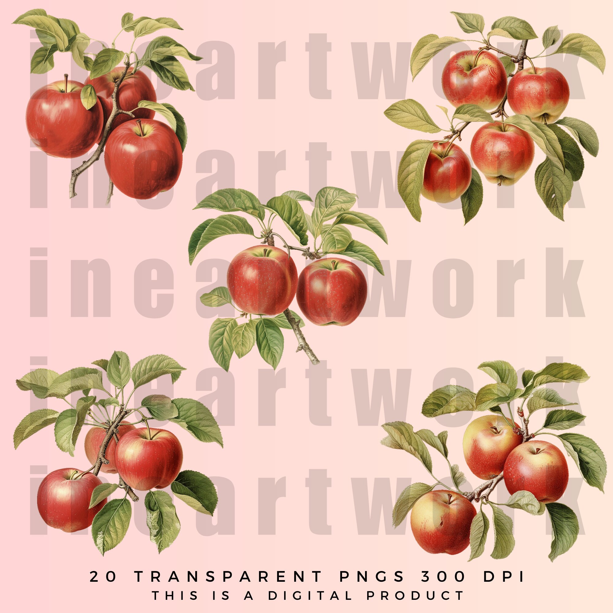 Apple Clipart Apple PNG Fruit Clipart Red Apples Clipart Food Clipart ...