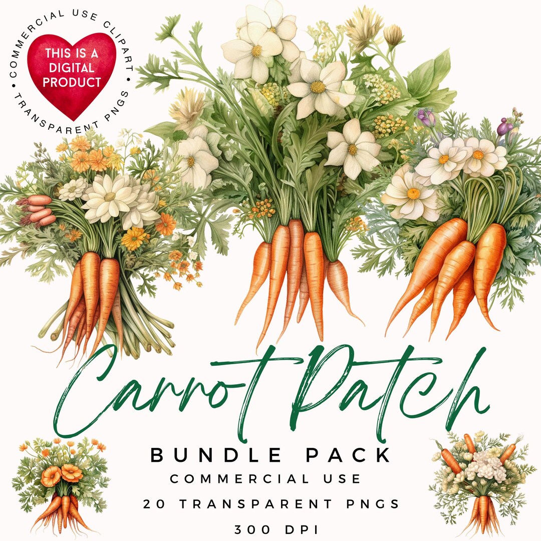 Easter Carrots Clipart: Watercolor PNG Bundle (digital Download) - Etsy