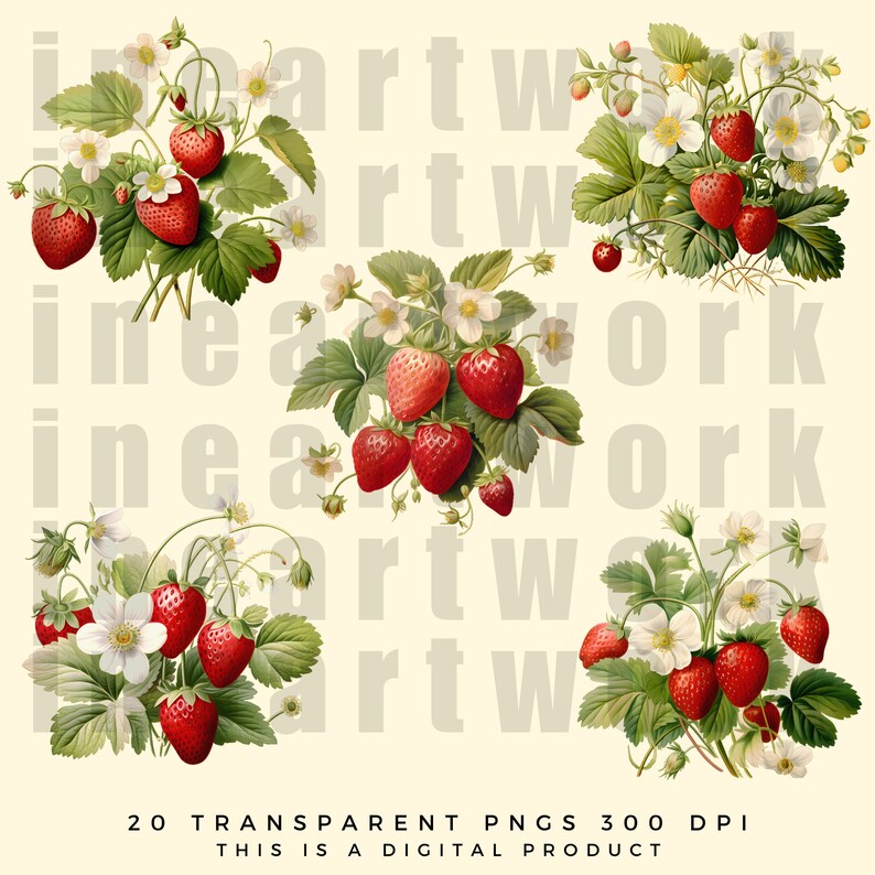 Strawberries Clipart Strawberry PNG Fruit Clipart Food Clipart ...