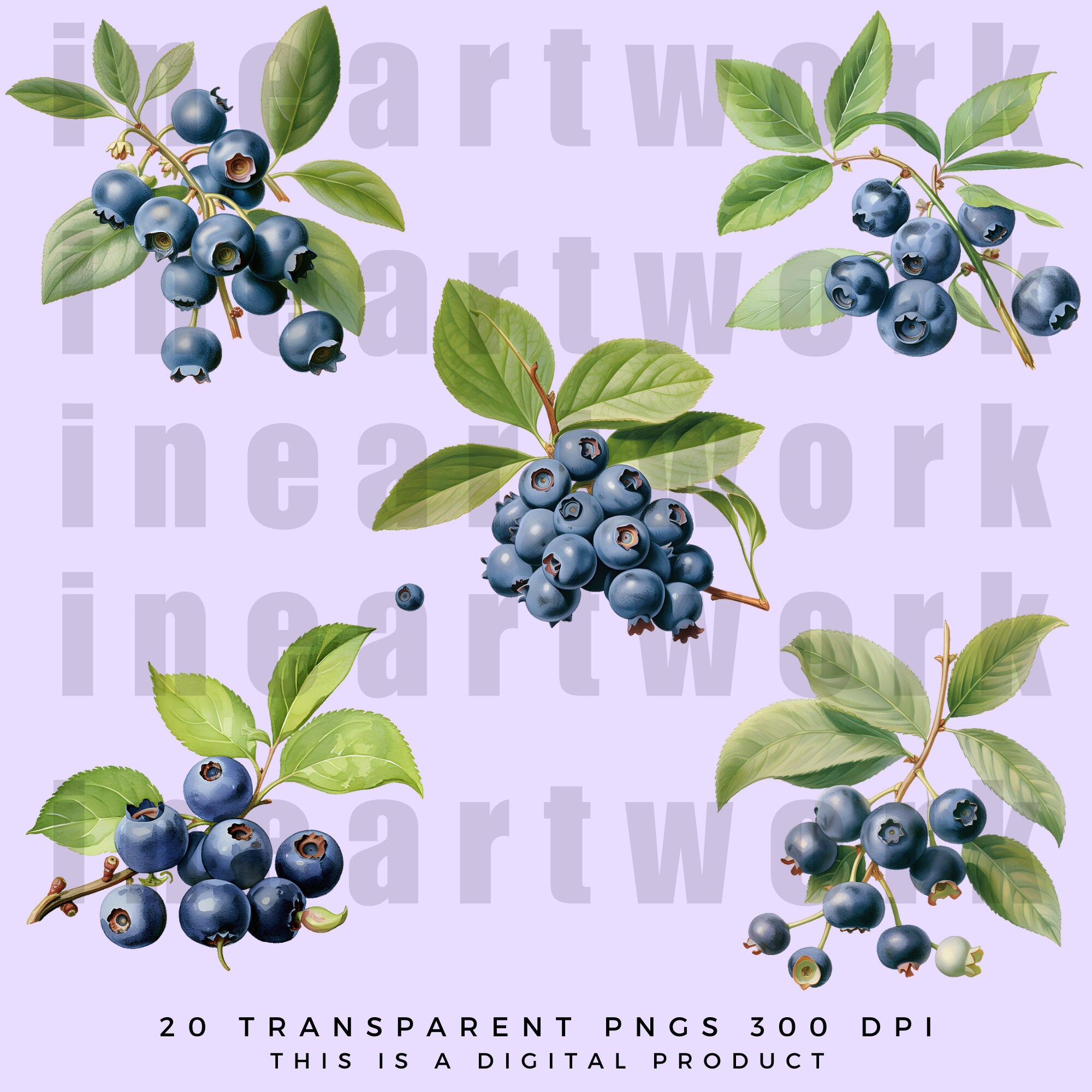Blueberries Clipart Blueberry PNG Fruit Clipart Food Clipart Watercolor ...