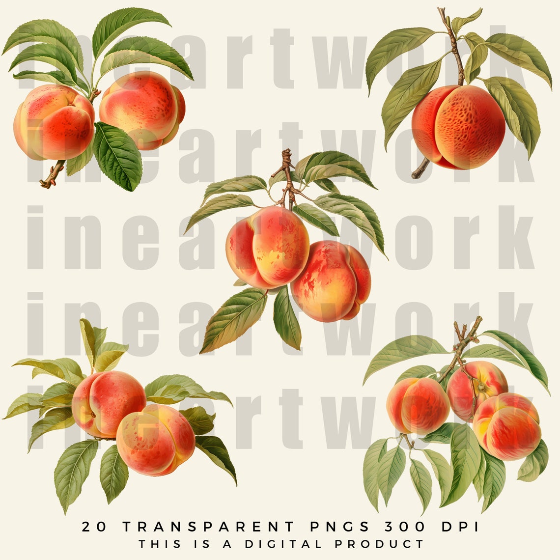 Peach Clipart Peach PNG Fruit Clipart Peach Fruit Clipart Food Clipart ...