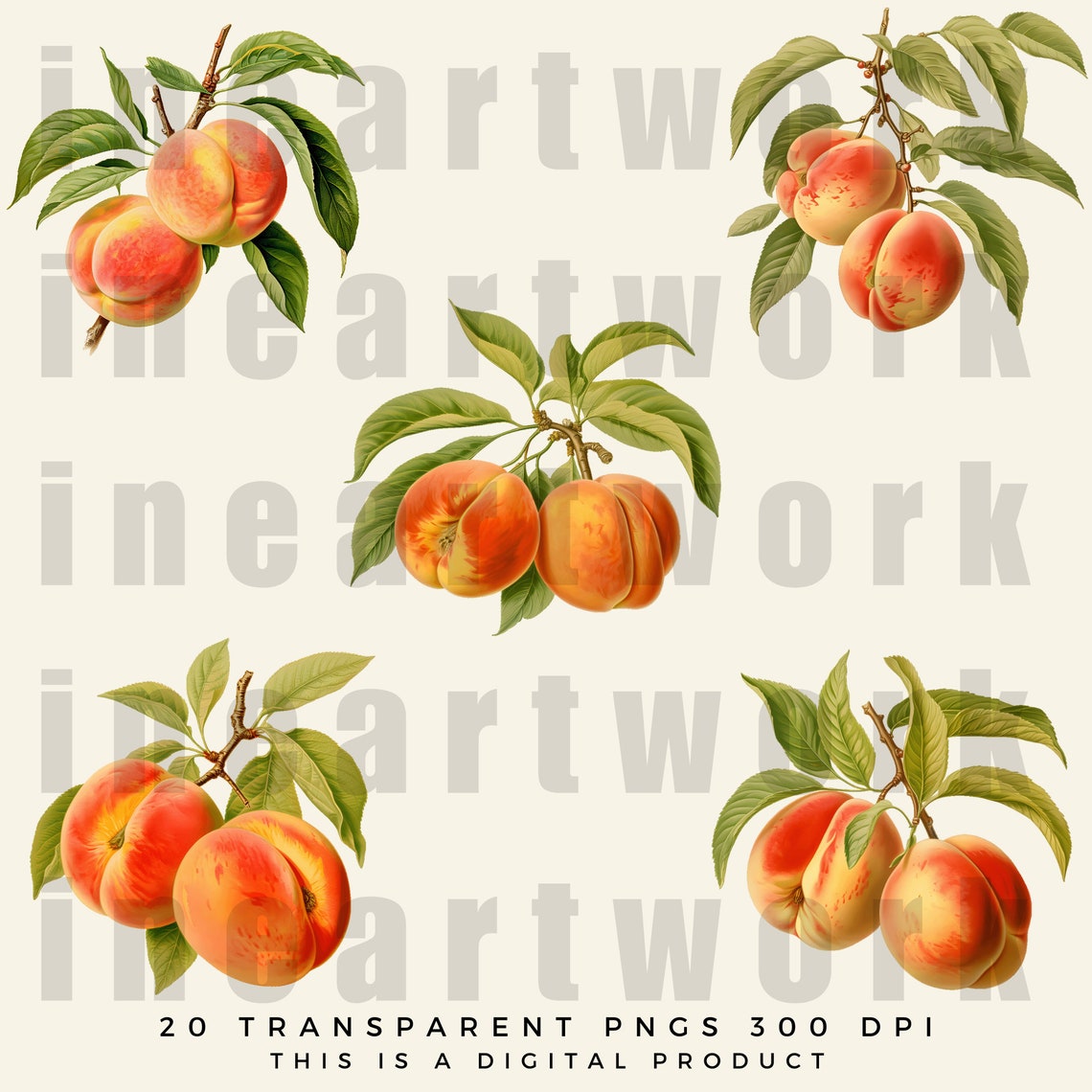 Peach Clipart Peach PNG Fruit Clipart Peach Fruit Clipart Food Clipart ...