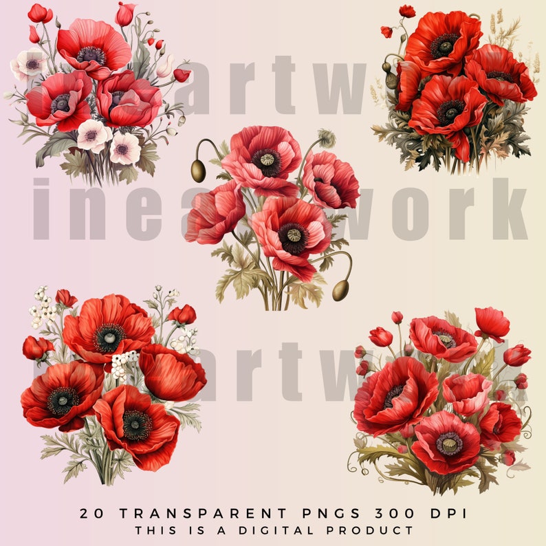 Poppies Anzac Flowers Clipart Watercolor Poppies Red Flowers Veterans ...