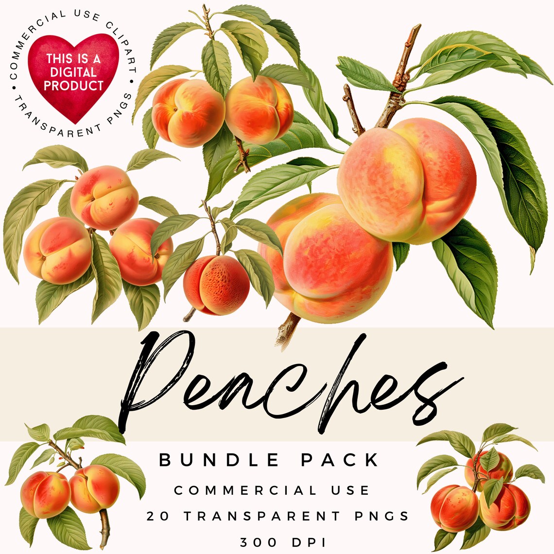 Peach Clipart Peach PNG Fruit Clipart Peach Fruit Clipart Food Clipart ...