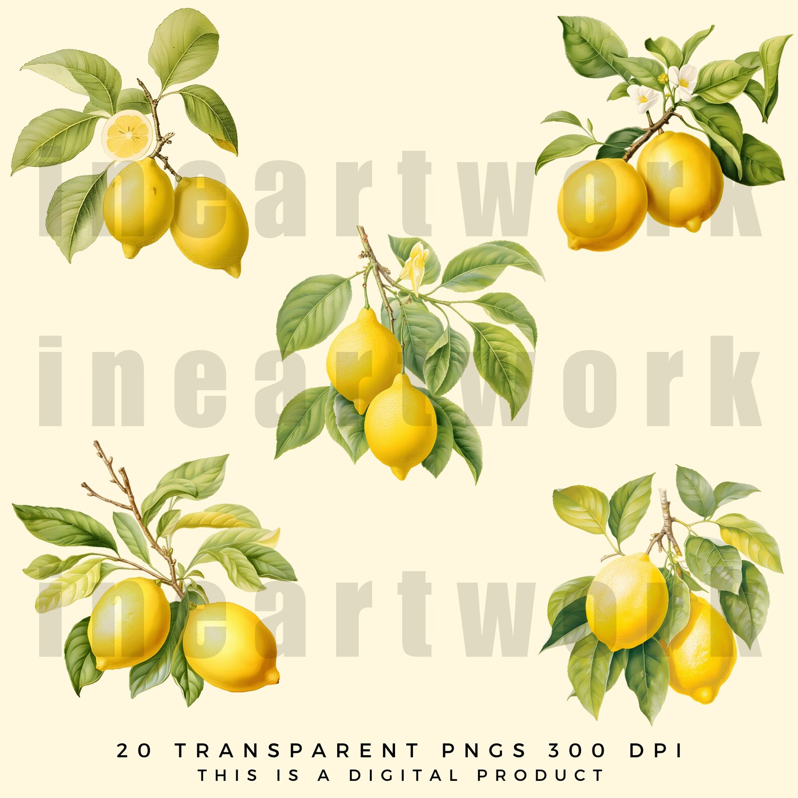 Lemons Clipart Lemon PNG Fruit Clipart Food Clipart Watercolor Fruit ...