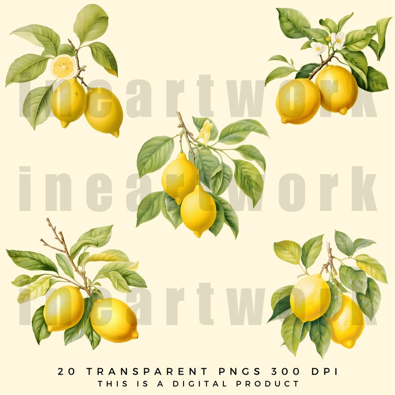 Lemons Clipart Lemon PNG Fruit Clipart Food Clipart Watercolor Fruit ...