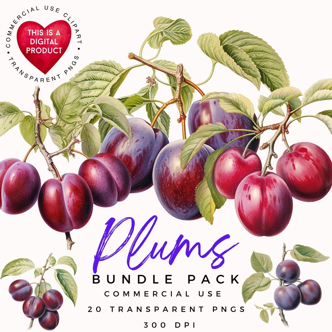 Plumb Clipart | Fruit Clipart | Food Print | High Quality Pngs ...
