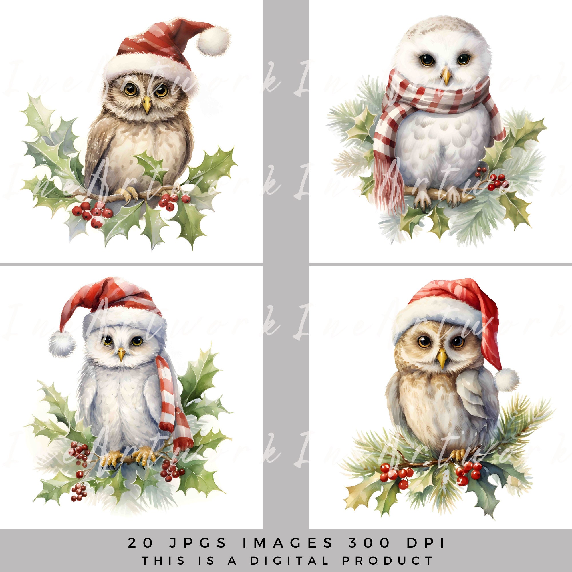 Christmas Owl Clipart: Watercolor JPG Images (digital Download) - Etsy