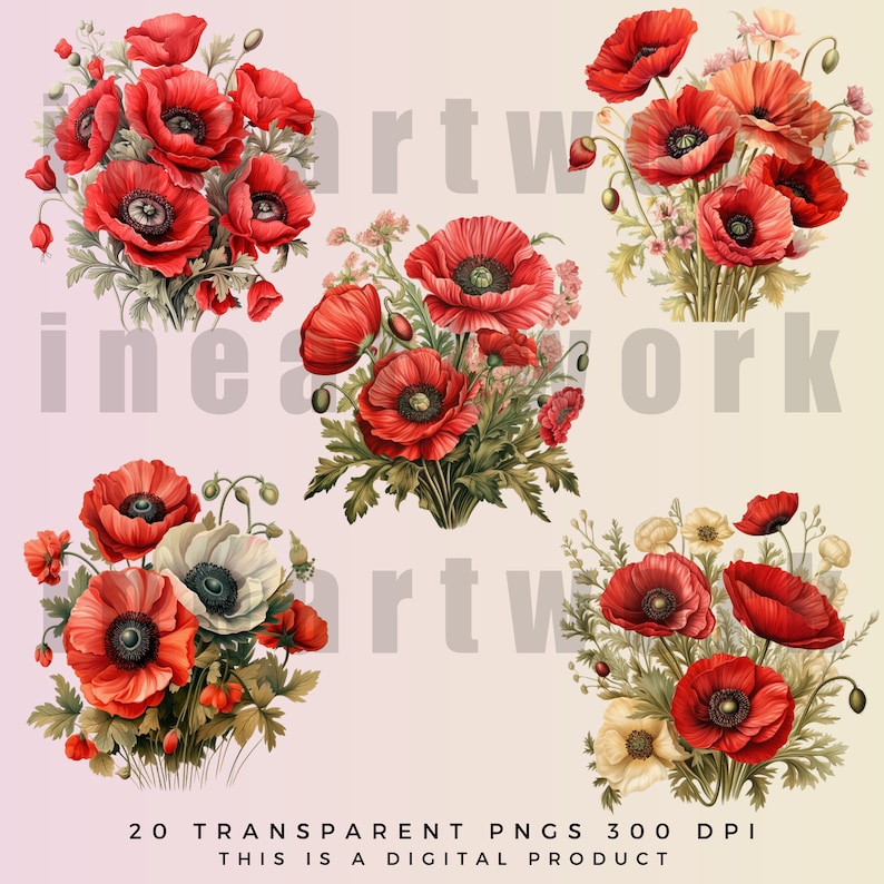 Poppies Anzac Flowers Clipart Watercolor Poppies Red Flowers Veterans ...