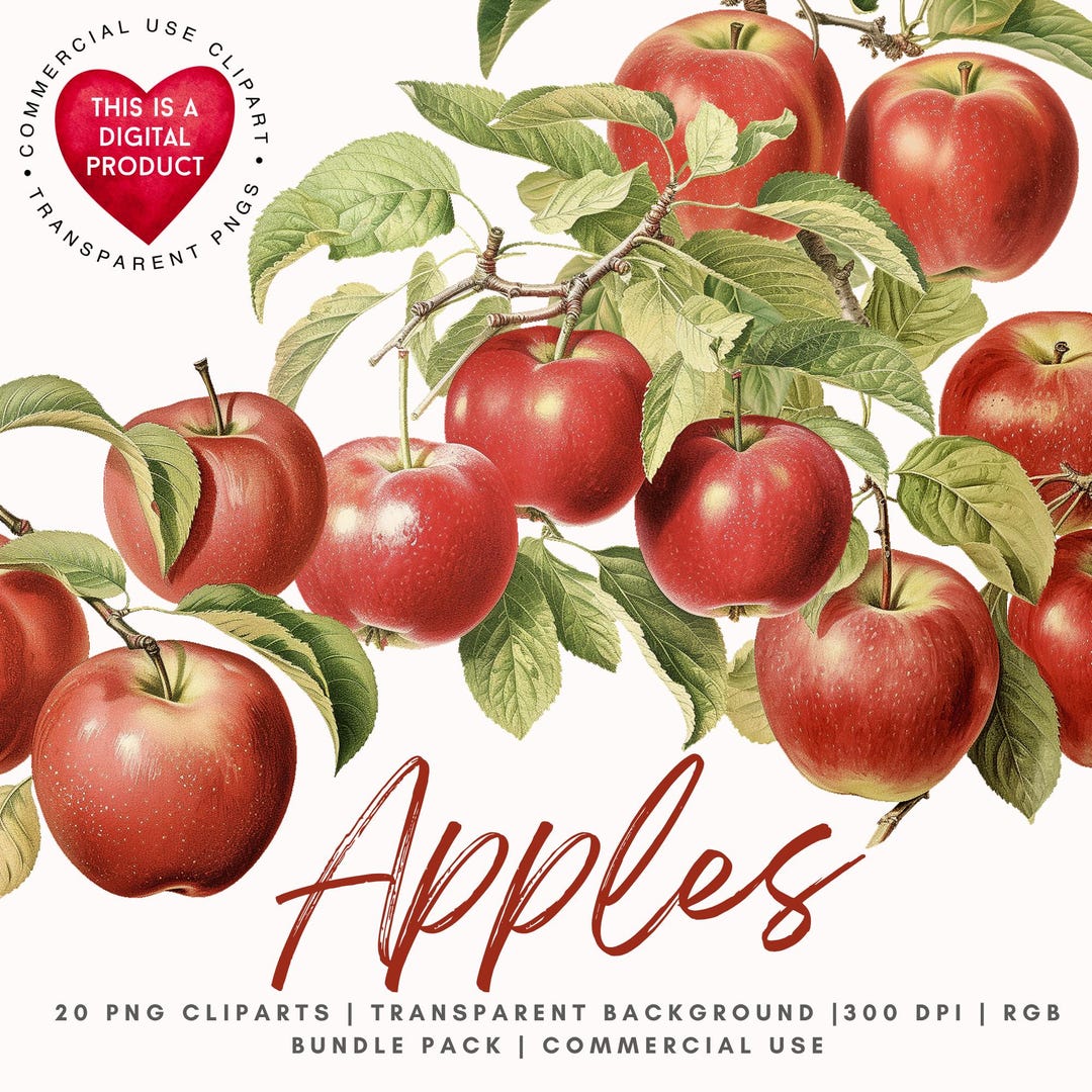 Red Apple Watercolor Clipart: High-res Pngs for Commercial Use (digital ...