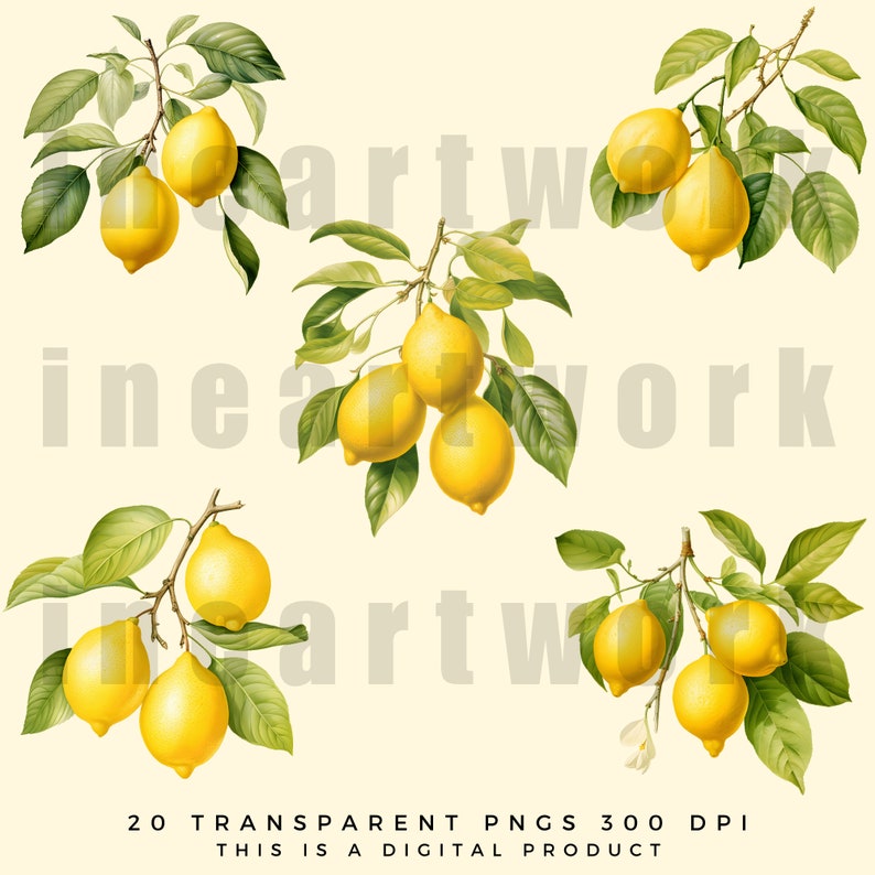 Lemons Clipart Lemon PNG Fruit Clipart Food Clipart Watercolor Fruit ...