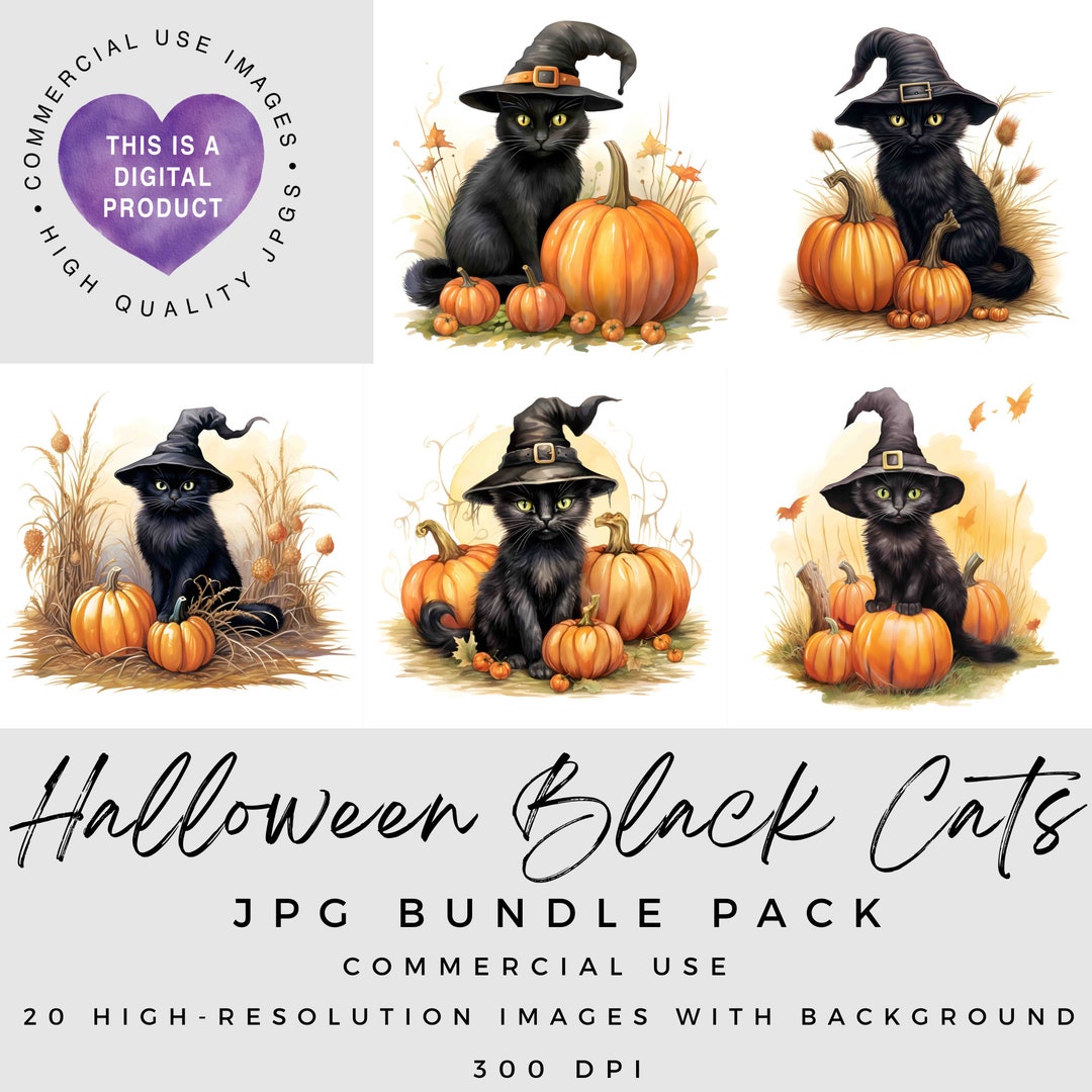 Halloween Black Cat Clipart | Halloween Clipart | Black Cat Clipart ...