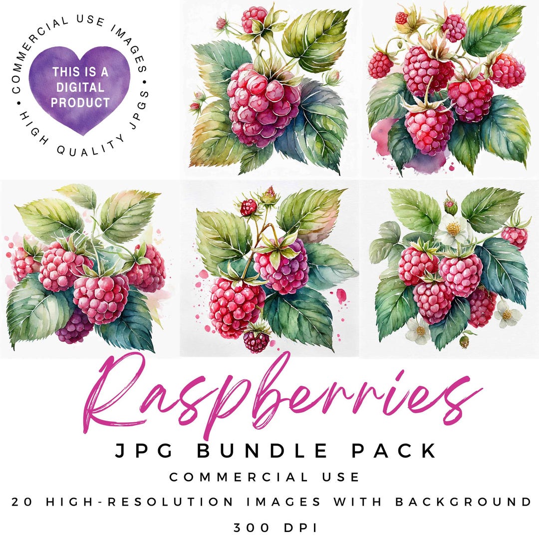 Raspberries Clipart | Fruit Clipart | Food Prints | High Quality Jpgs ...